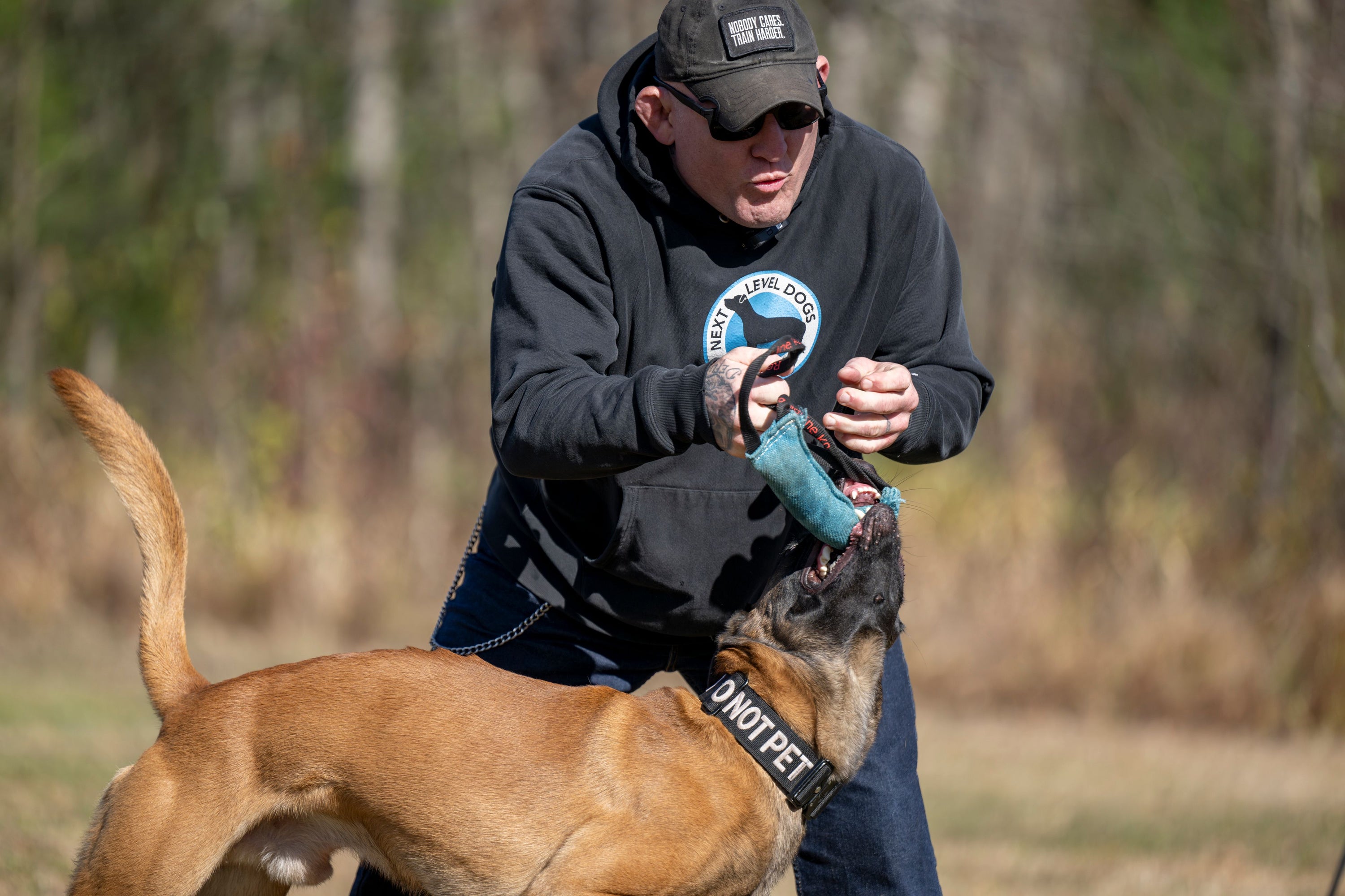 Next Level Dog Training